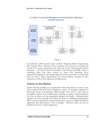 Agility Consulting -- Matrix Organizations | PDF