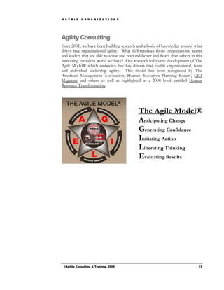 Agility Consulting -- Matrix Organizations | PDF
