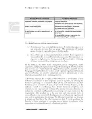 Agility Consulting -- Matrix Organizations | PDF