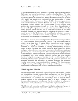 Agility Consulting -- Matrix Organizations | PDF
