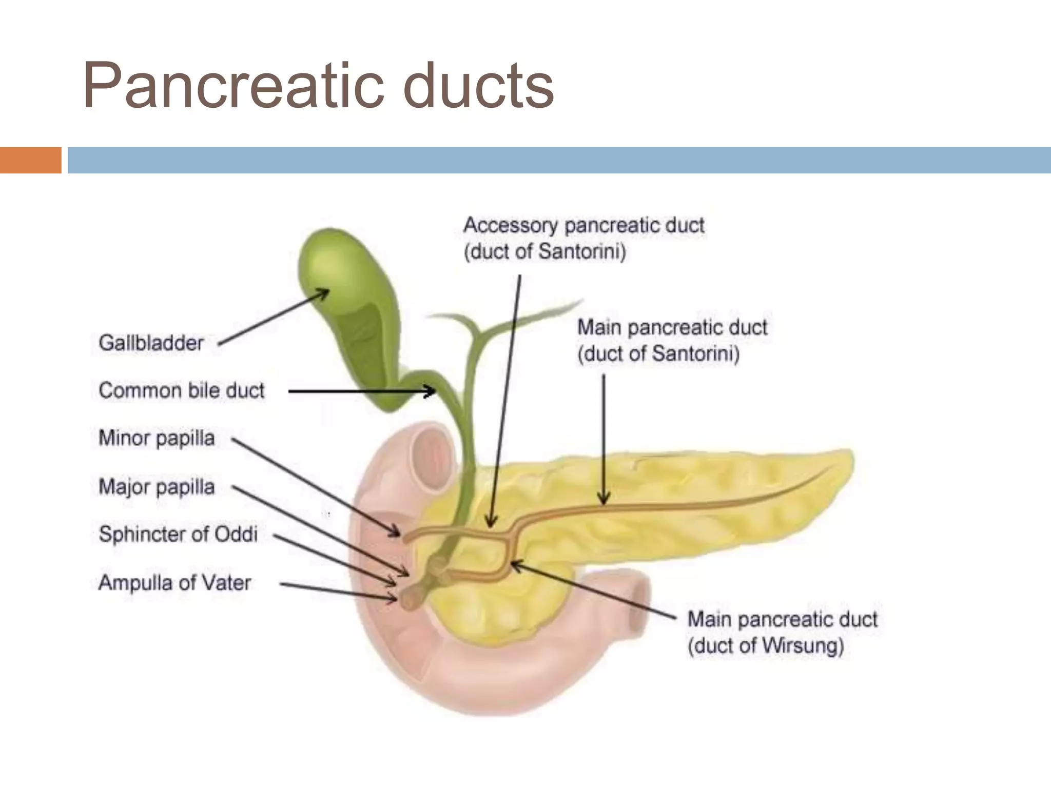 Pancreatic Surgery | PPTX