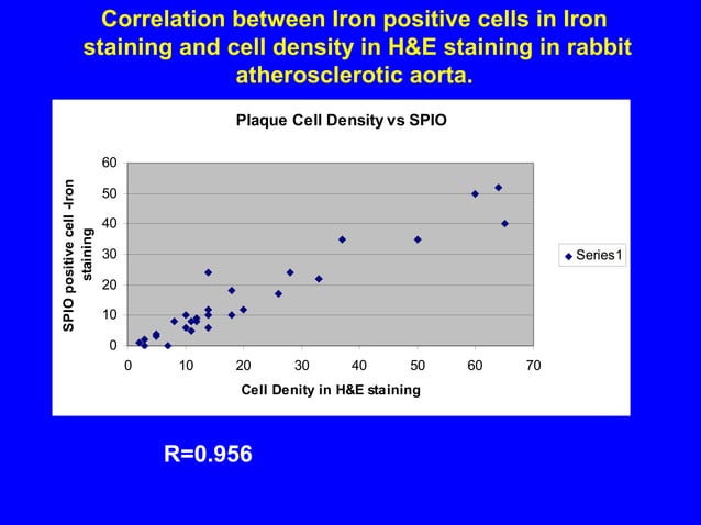 Spio mri studies by dr naghavi-presented to ge-amersham | PPT