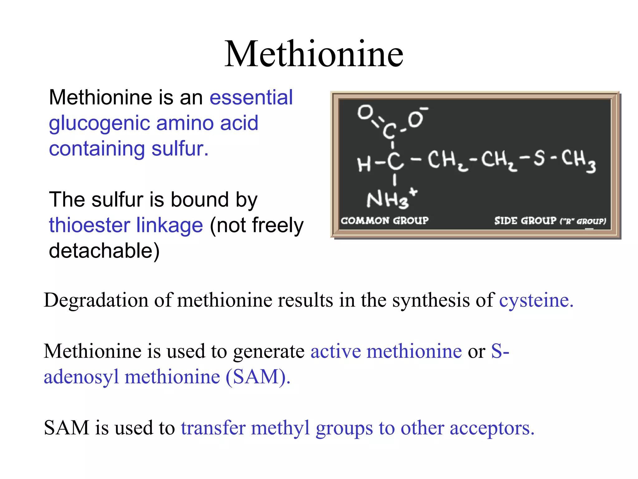 Methionine, cysteine and branched chain amino acids | PPT