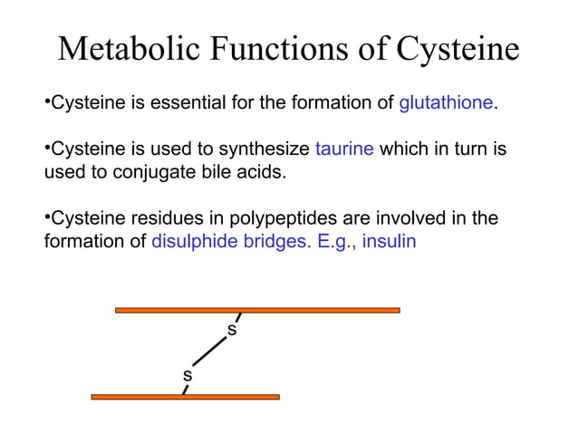 Methionine, cysteine and branched chain amino acids | PPT