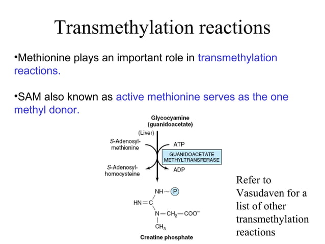 Methionine, cysteine and branched chain amino acids | PPT