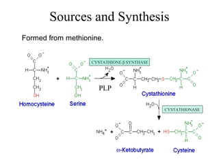 Methionine, cysteine and branched chain amino acids | PPT