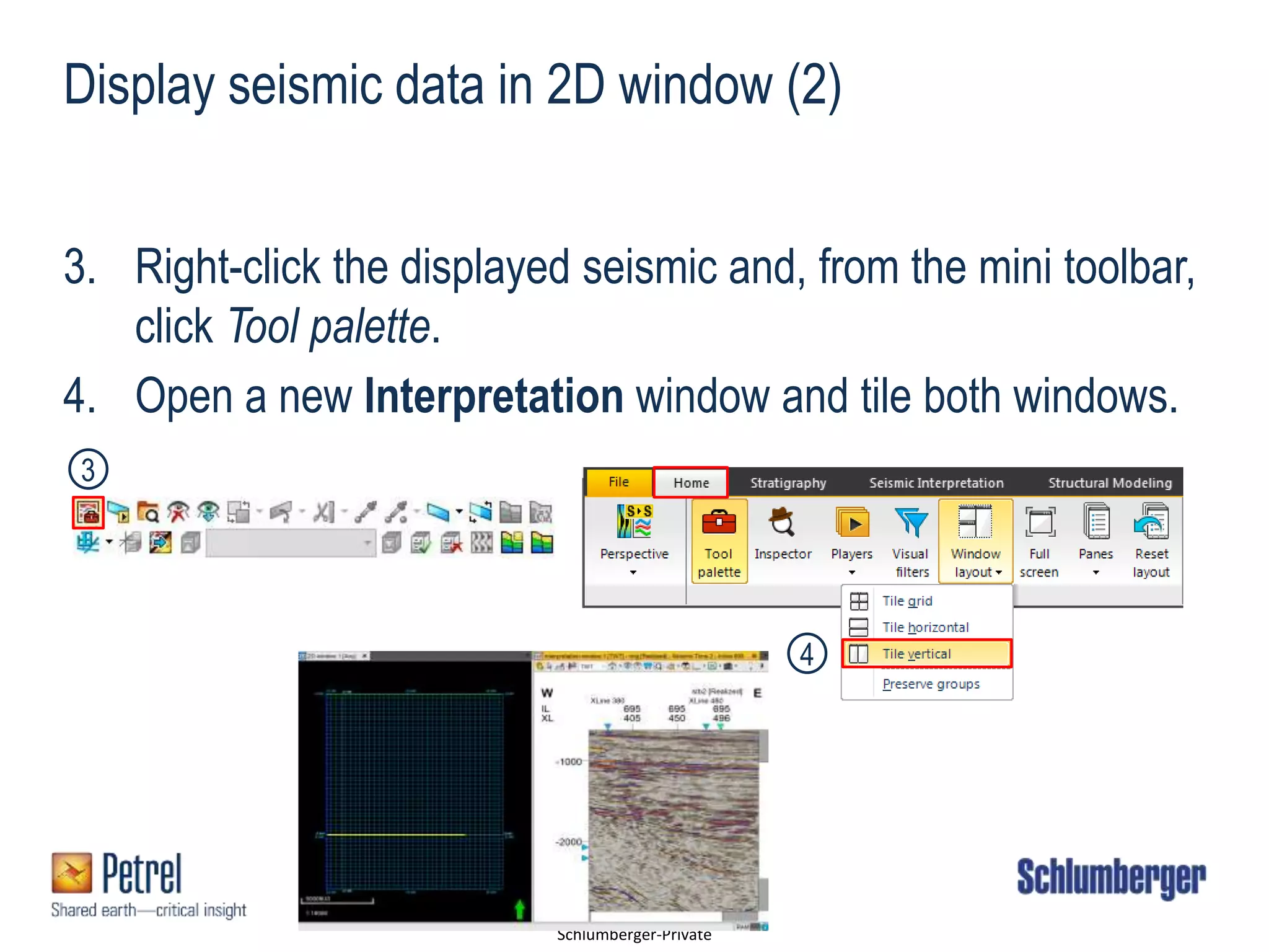 Petrlel F 2 seismic display 2018 v1.1 | PPTX