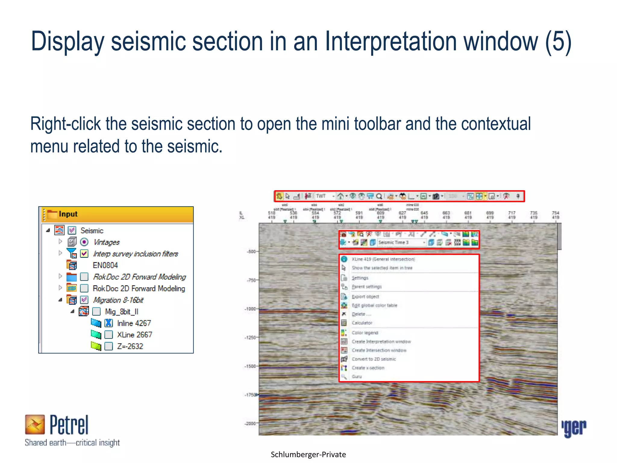 Petrlel F 2 seismic display 2018 v1.1 | PPTX