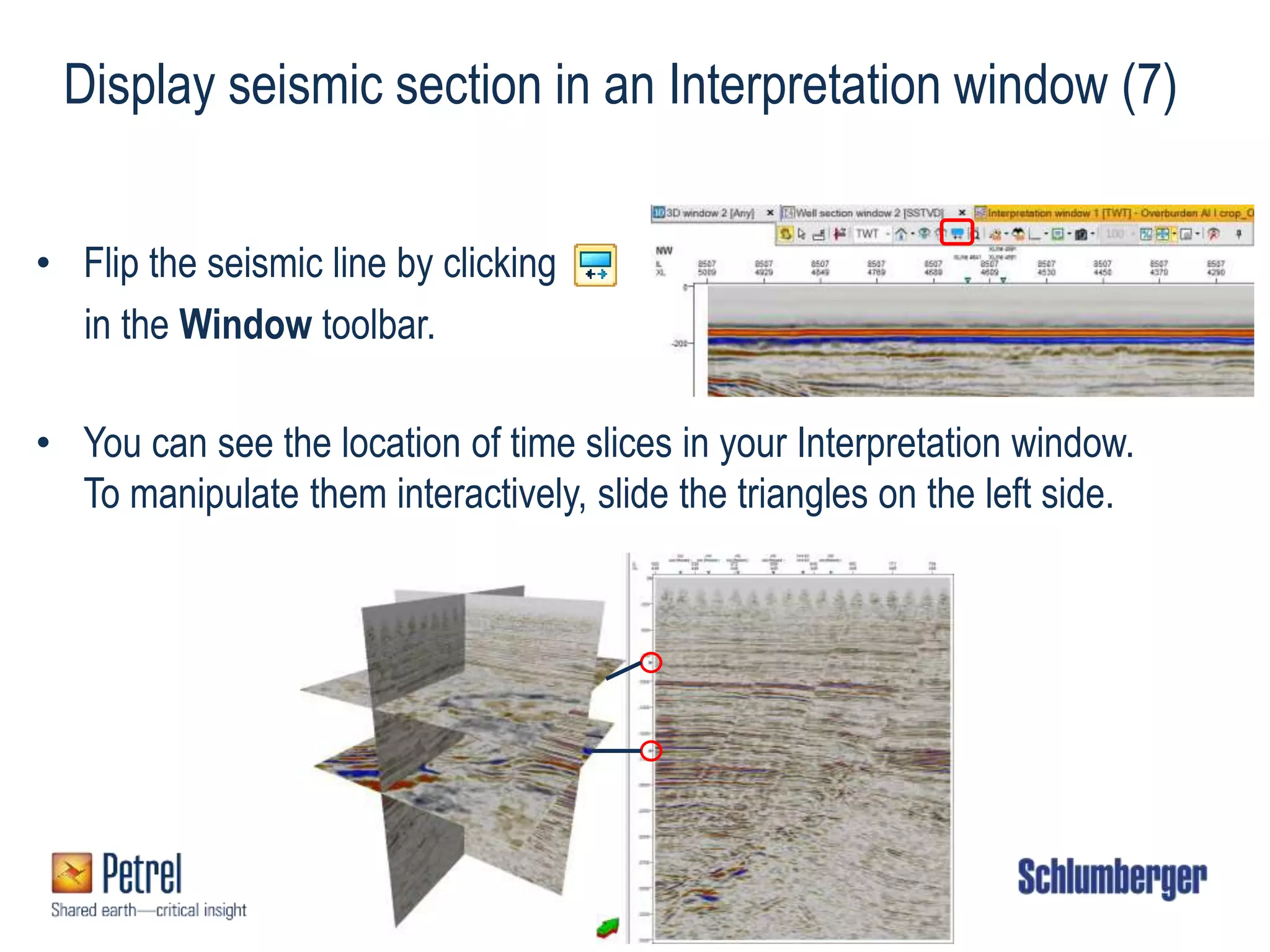 Petrlel F 2 seismic display 2018 v1.1 | PPTX