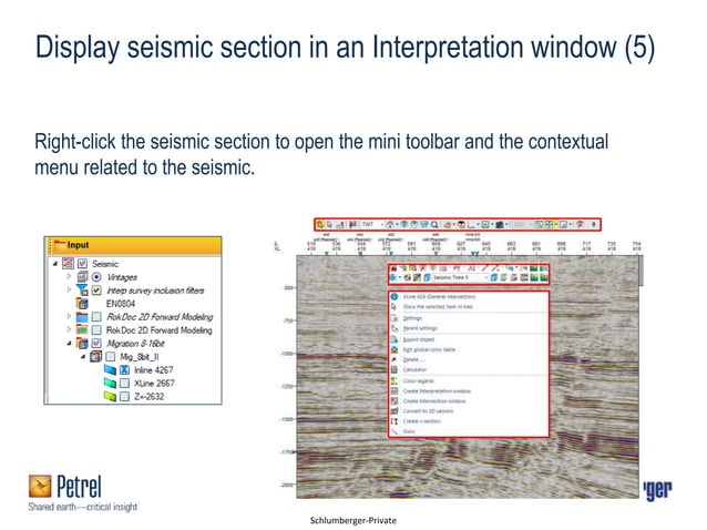 Petrlel F 2 seismic display 2018 v1.1 | PPTX