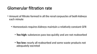 F3.Glomerular filtration and its Regulation.pptx
