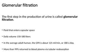 F3.Glomerular filtration and its Regulation.pptx