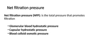 F3.Glomerular filtration and its Regulation.pptx