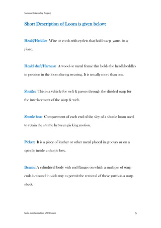 Final_Report_Summer_Internship.PDF