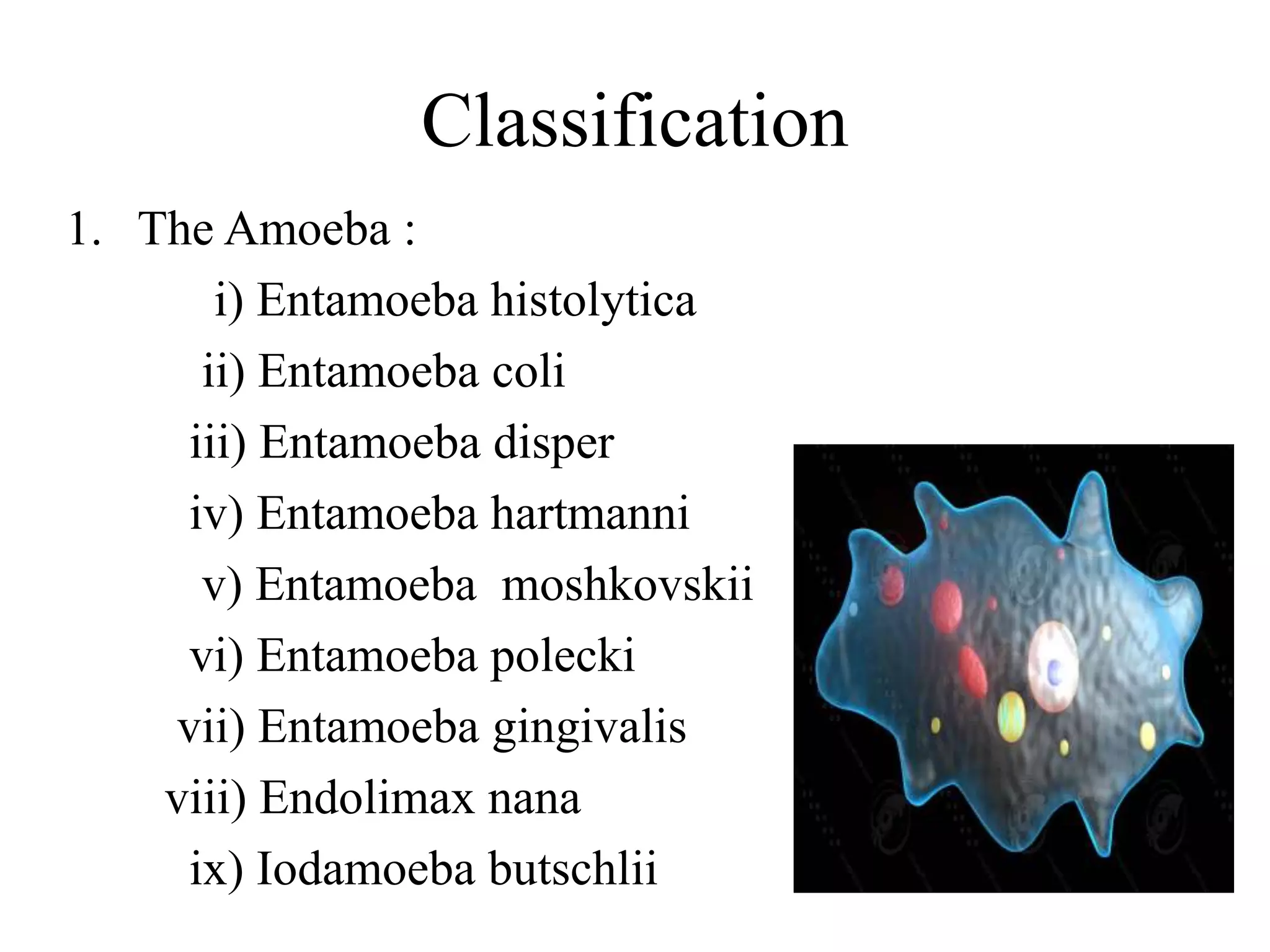 Intestinal protozoa ( Entamoeba, Giardia, Dientamoeba | PPTX