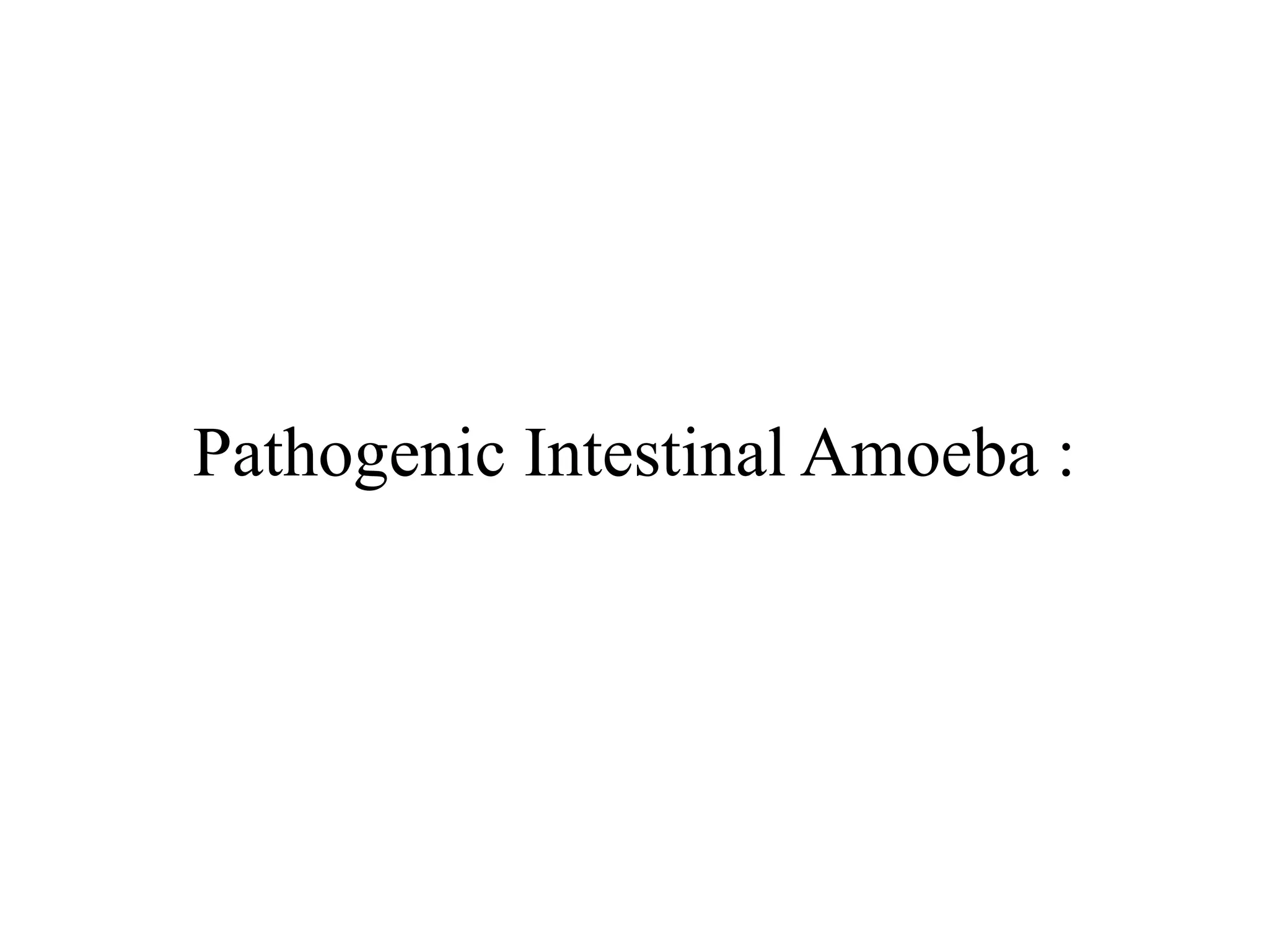 Intestinal protozoa ( Entamoeba, Giardia, Dientamoeba | PPTX