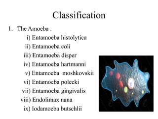 Intestinal protozoa ( Entamoeba, Giardia, Dientamoeba | PPTX