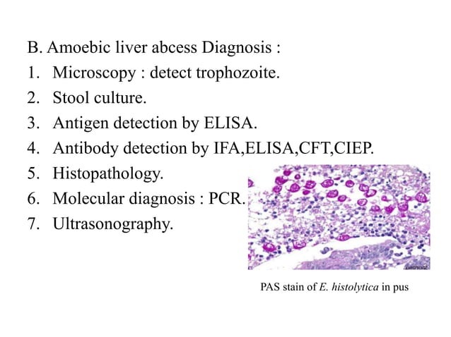 Intestinal protozoa ( Entamoeba, Giardia, Dientamoeba | PPTX