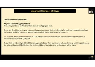 Professional Indemnity | PDF