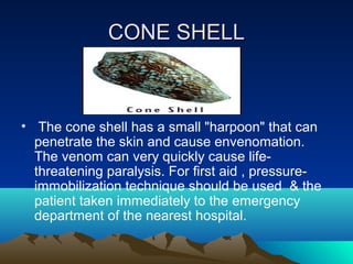 THE RAGING DEEP BLUE SEA | PPT | Fish and Aquariums | Pets