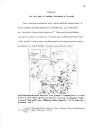 Thesis excerpt | PDF