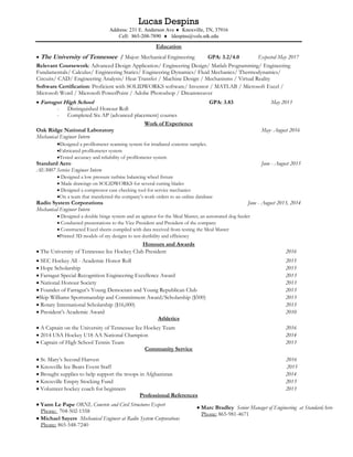 lucas despins resume | PDF | Technology & Computing