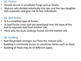 PRESENTATION ON FUNGI. | PPTX