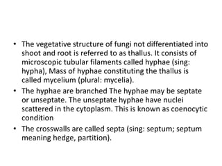 PRESENTATION ON FUNGI. | PPTX