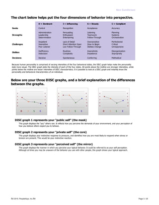 Ben Gunderson_DISC Test | PDF