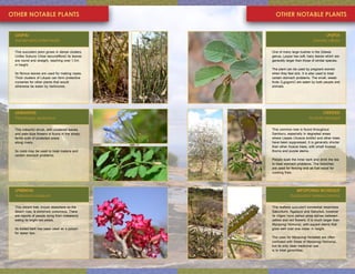 Samburu vegetaion guide | PDF