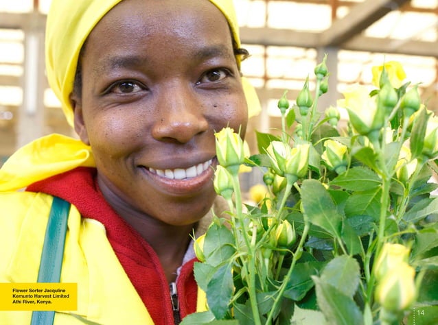 FTA BROCHURE ENGLISH | PDF