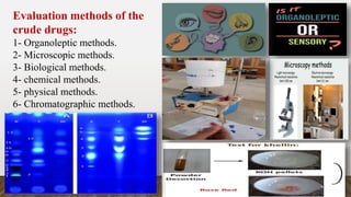5-_Medicinal_plants_-_cell_constituents_.pptx
