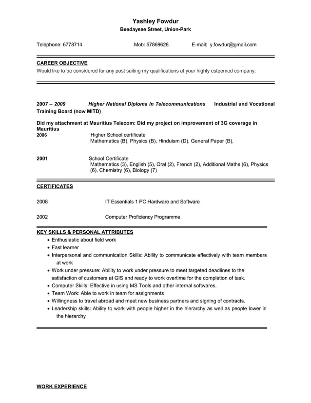 cv1 (1) | DOC | Technology & Computing