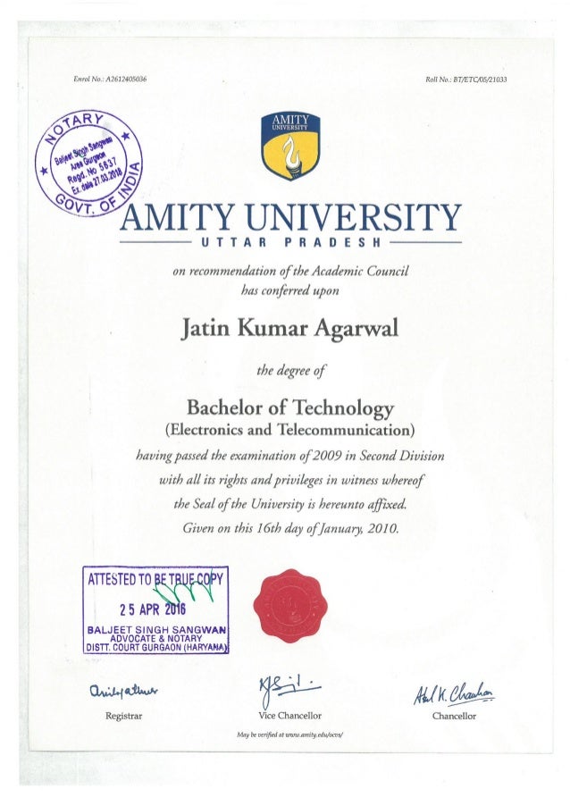 Bachelors Degree Transcripts