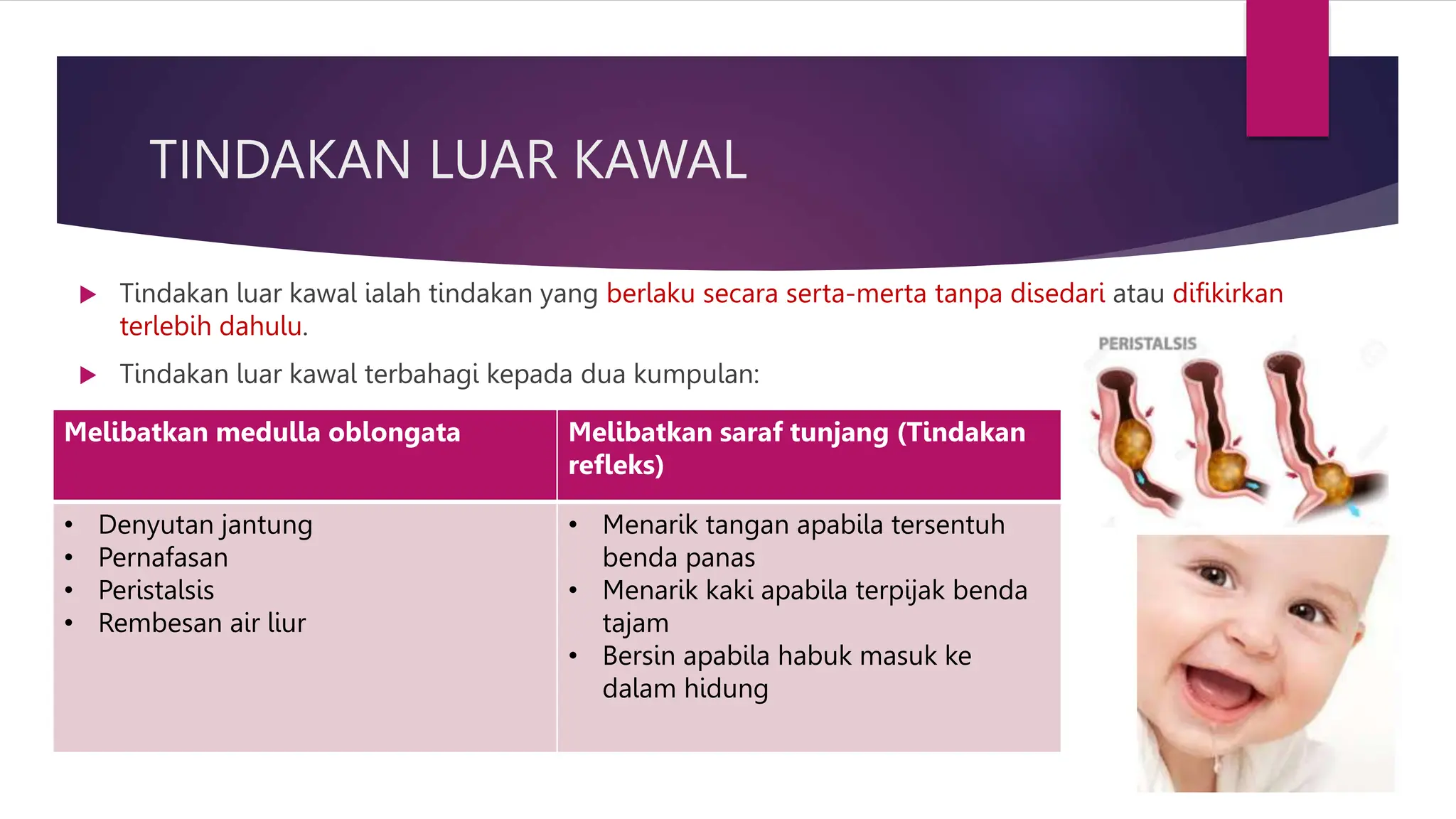Tingkatan 3 Sains Bab 1 (Versi Bahasa Melayu)) | PPTX