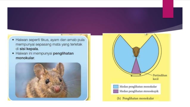 Tingkatan 3 Sains Bab 1 (Versi Bahasa Melayu)) | PPTX