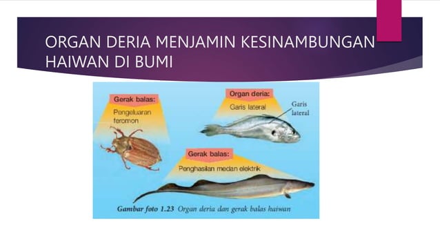 Tingkatan 3 Sains Bab 1 (Versi Bahasa Melayu)) | PPTX