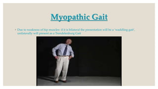 In-Service Gait Training | PPTX