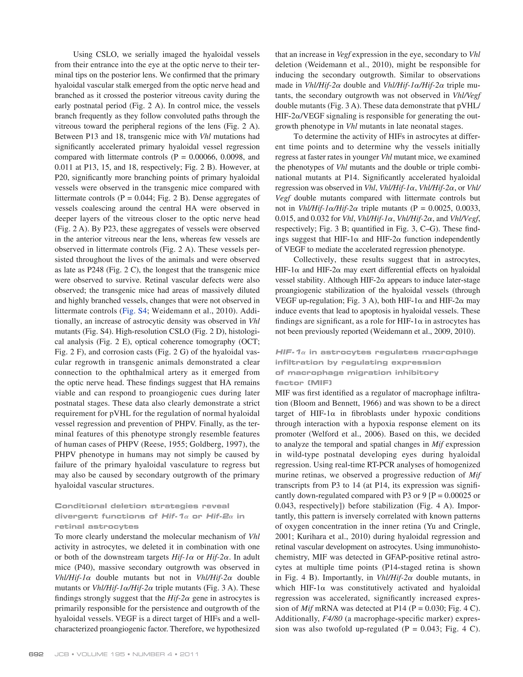 Astrocyte pVHL and HIF- isoforms are required for embryonic-to-adult ...
