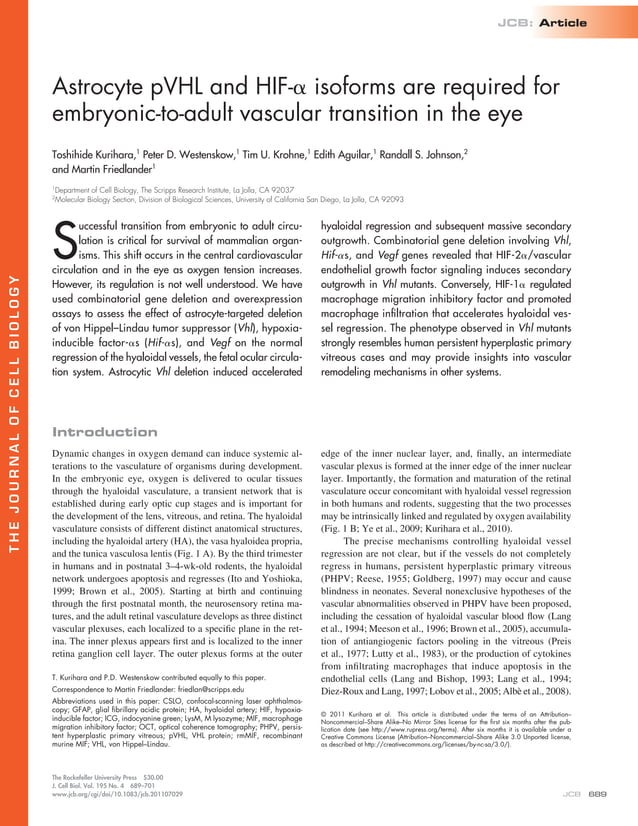 Astrocyte pVHL and HIF- isoforms are required for embryonic-to-adult ...