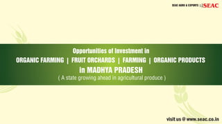 Agro Presentation | PDF