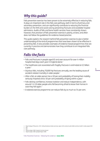 Falls_Prevention_Guide_2013 | PDF