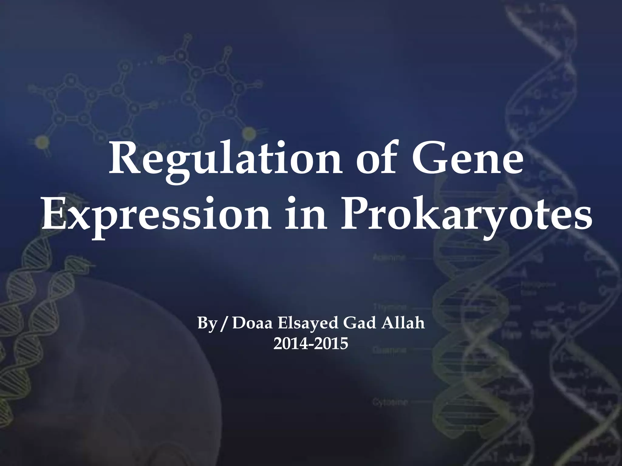 Regulation of Gene Expression in Prokaryotes | PPTX