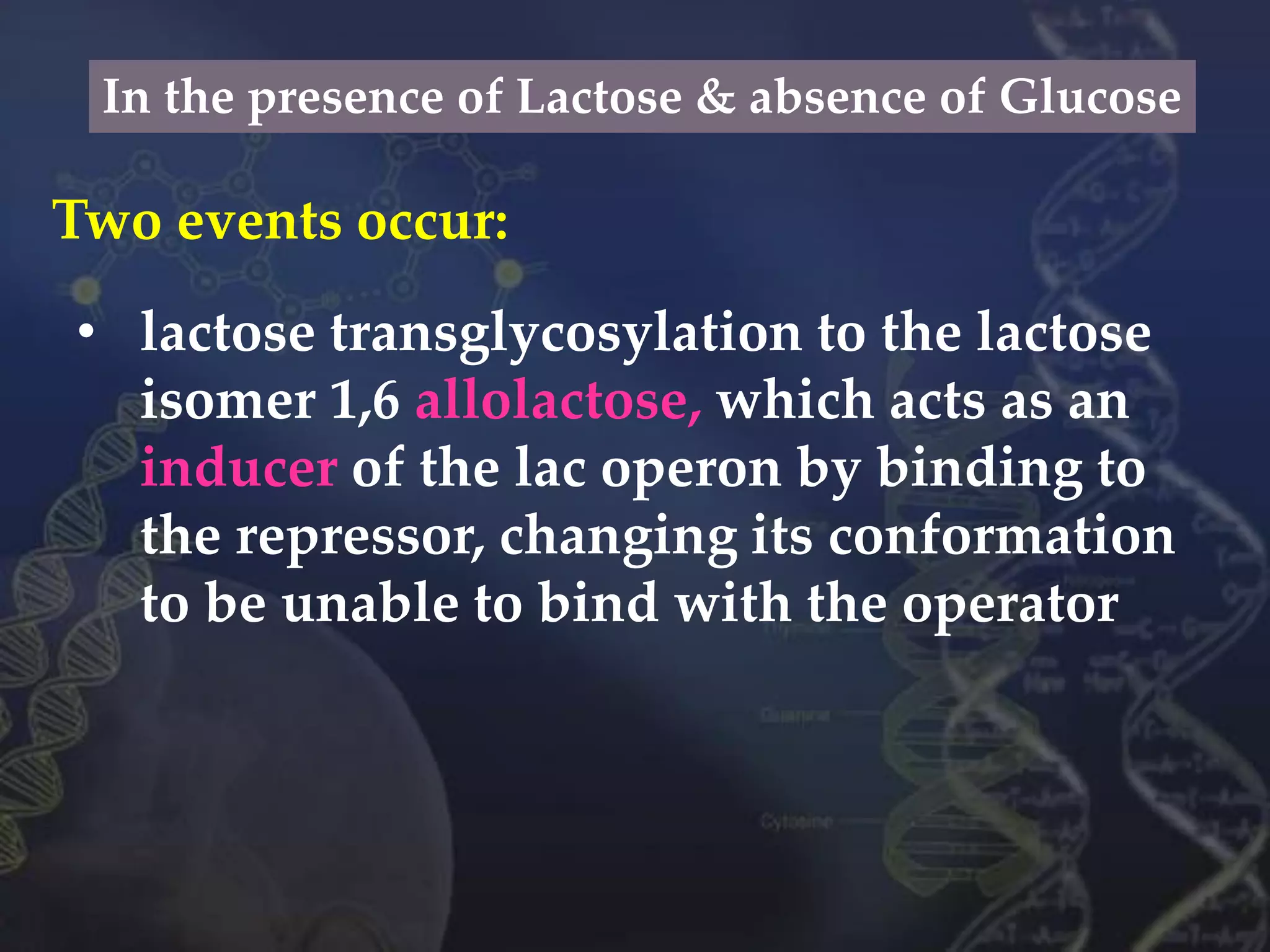 Regulation of Gene Expression in Prokaryotes | PPTX