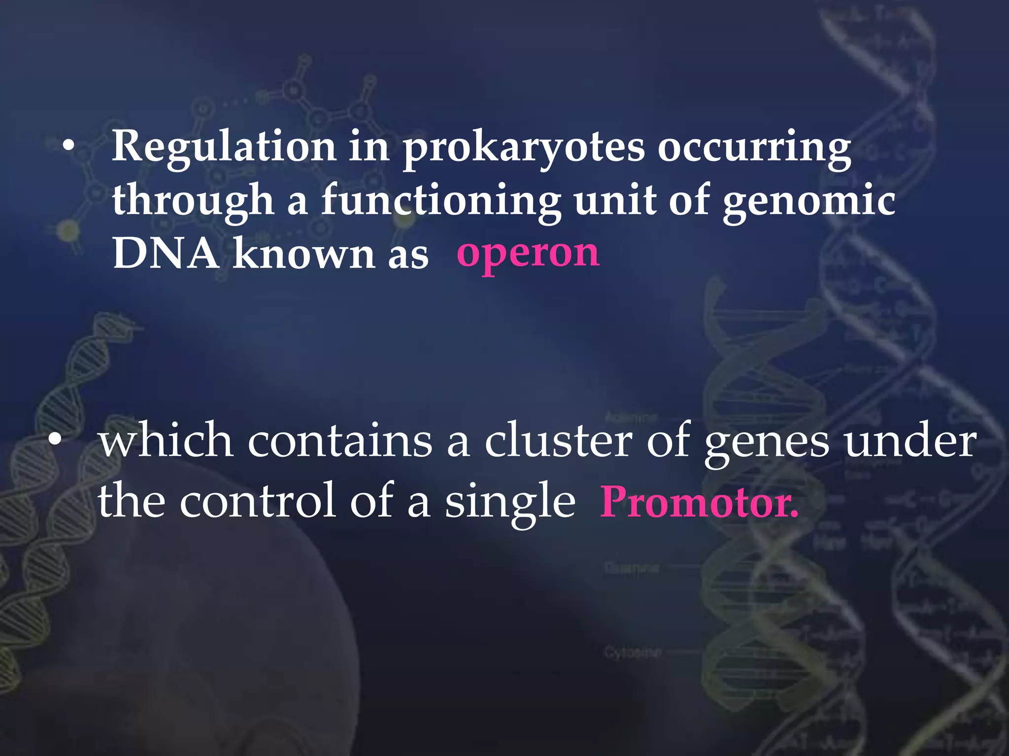 Regulation of Gene Expression in Prokaryotes | PPTX