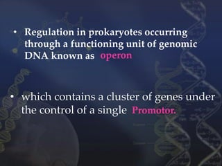 Regulation of Gene Expression in Prokaryotes | PPTX