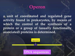 Regulation of Gene Expression in Prokaryotes | PPTX