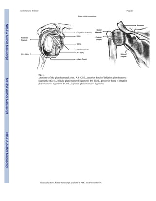 Posterior gh joint capsular contracture | PDF