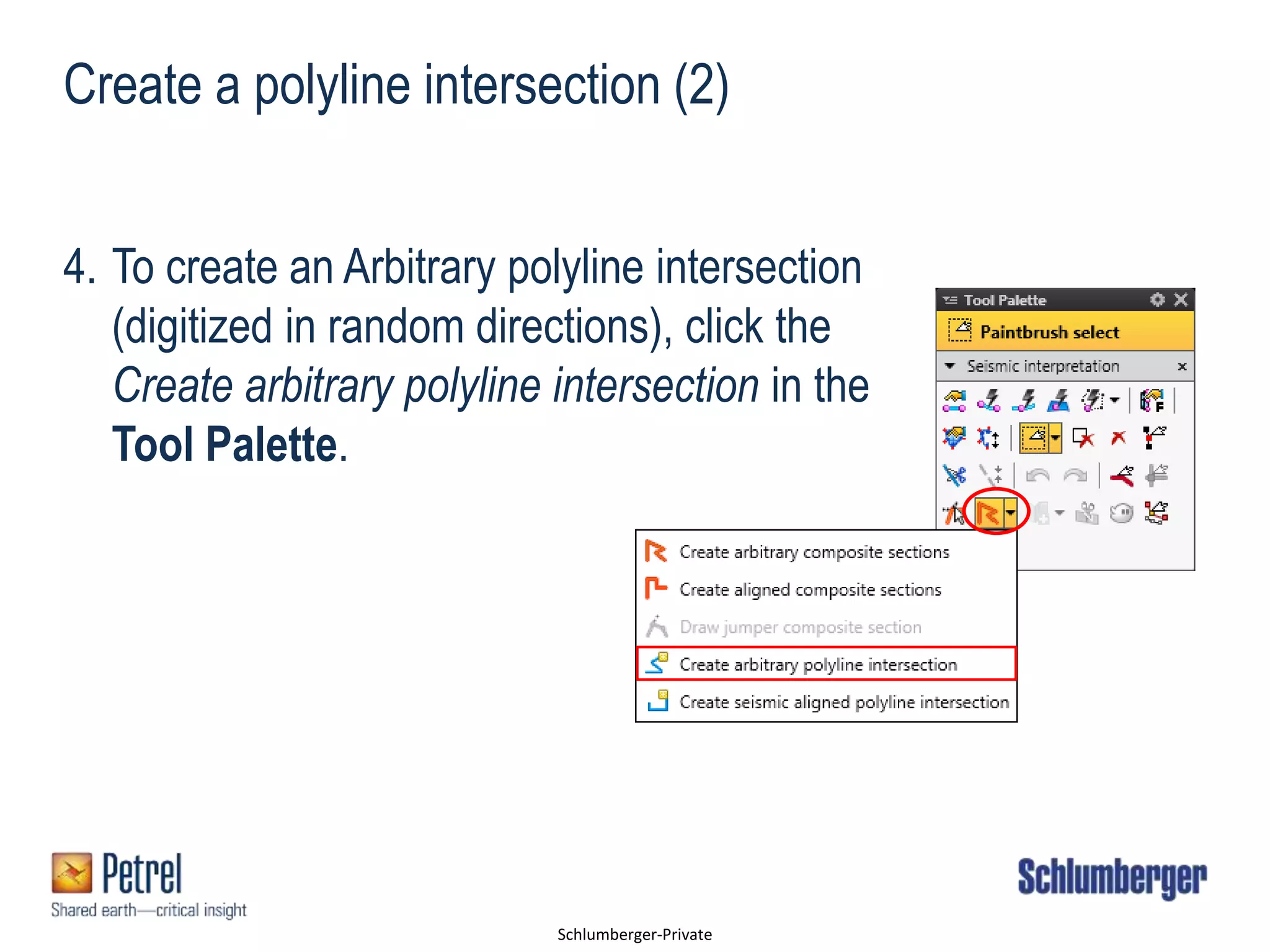 Petrel F 3 seismic intersections and data manipulation 2018 v1.1 | PPTX