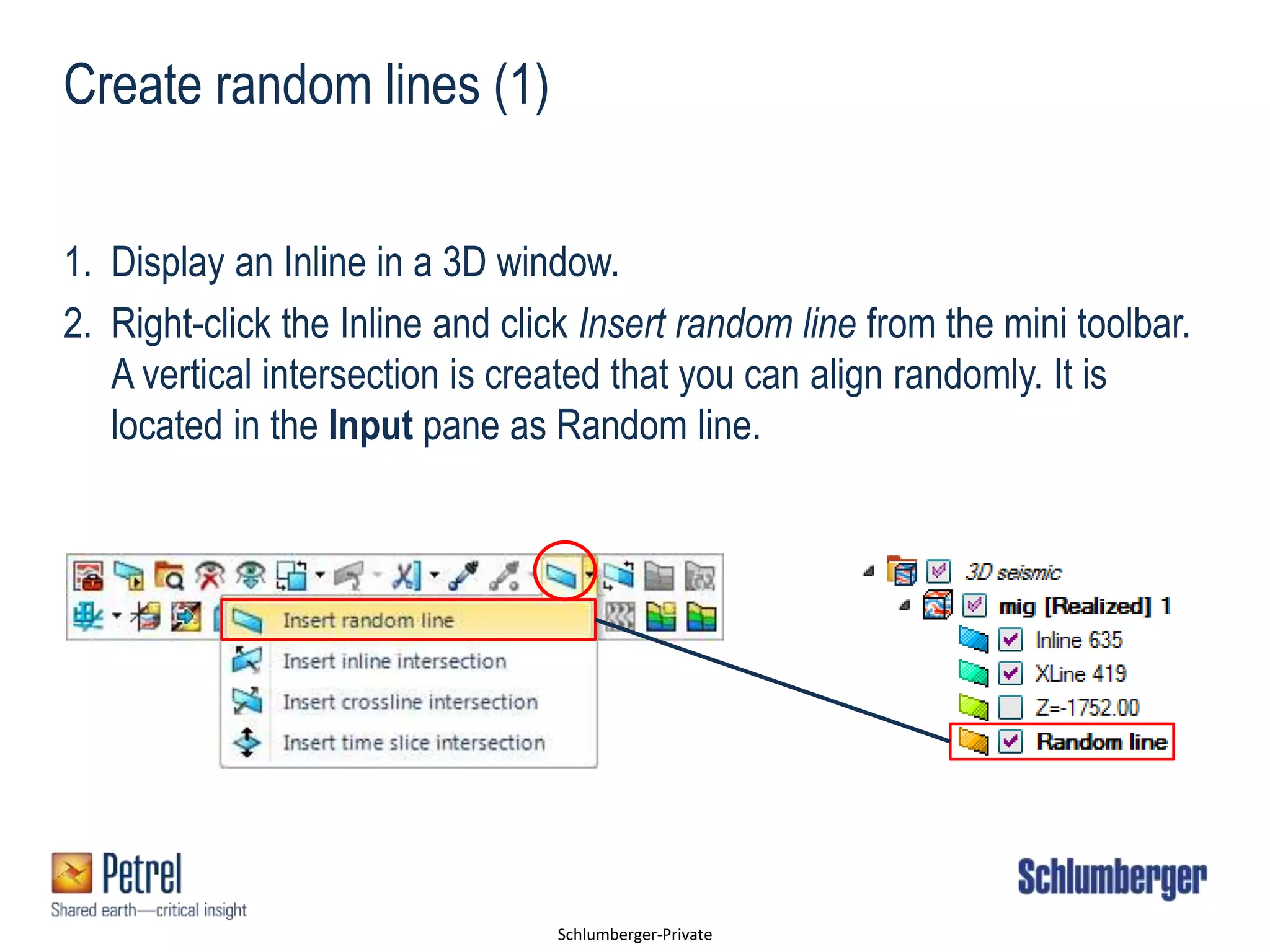 Petrel F 3 seismic intersections and data manipulation 2018 v1.1 | PPTX